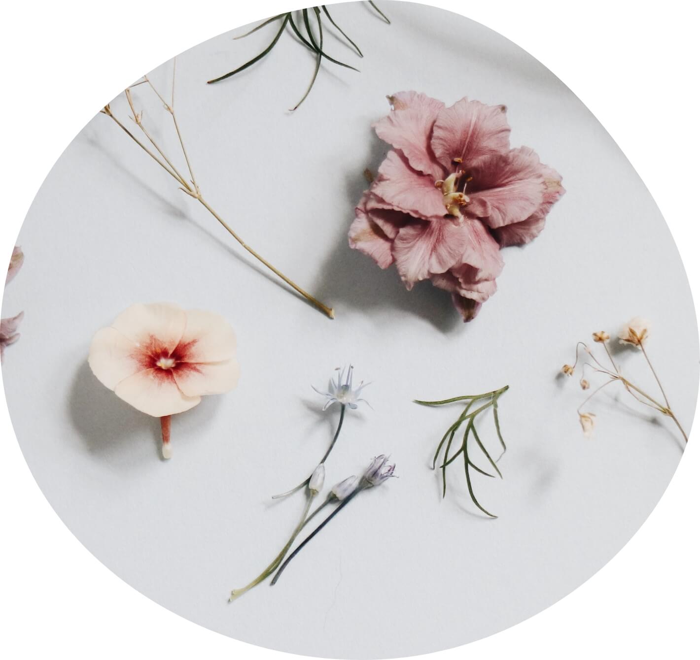 rebirth リバース – Loss Flower Project 捨てられていく花を もう一度咲かせるプロジェクト。